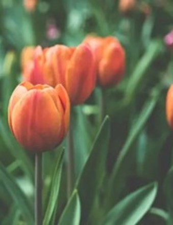 Michael D. Evans Obituary (2026) - Cincinnati, OH - Strawser Funeral ...