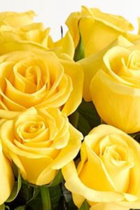 Nancy Westrate Obituary and Online Memorial (2026)