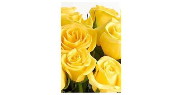 Nancy Westrate Obituary and Online Memorial (2026)