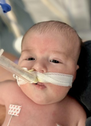 Greyson Black Obituary and Online Memorial (2026)