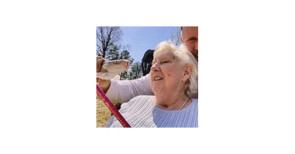 Shirley Ann Gingles Obituary (2023) - Prattville, AL - Prattville ...