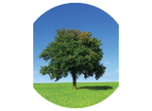 William Wesley "Wes" Wertz Obituary (2026) - West Milton, OH - Hale ...