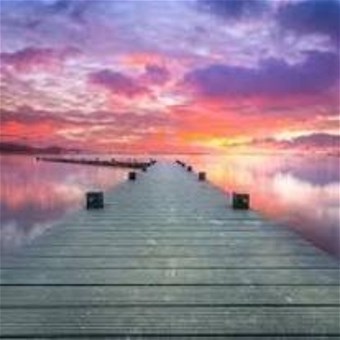 Tonya Bingham Obituary (2026) - Indianapolis, IN - Cremation Society of ...