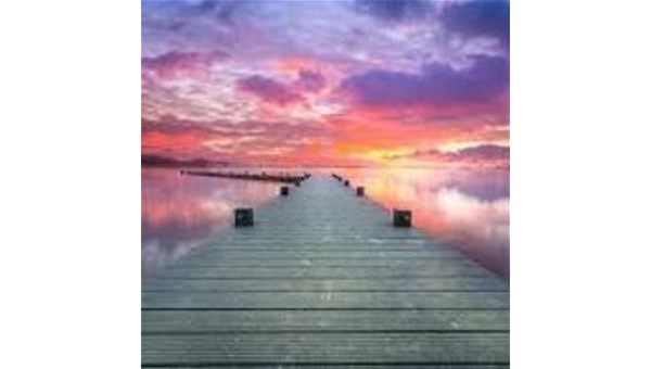 Tonya Bingham Obituary (2026) - Indianapolis, IN - Cremation Society of ...