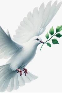 Walter Franklin Wrenn IV Obituary (2026) - Durham, NC - Holloway ...