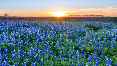 Margrit Dorothea Porter Obituary (2026) - Midland, TX - Nalley-Pickle ...