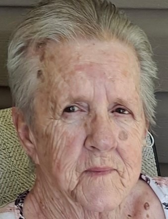 Nancy Elizabeth Williamson Obituary (2025) - Fort Mill, SC - Wolfe ...