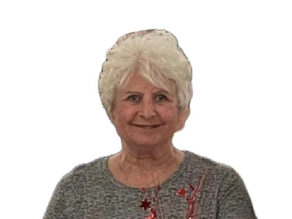 Cynthia "Cindy" Ellsworth Obituary (1951 - 2023) - Girard, OH ...