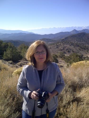 Carol Harrison Obituary (2024) - Morton Grove, IL - Simkins Funeral ...