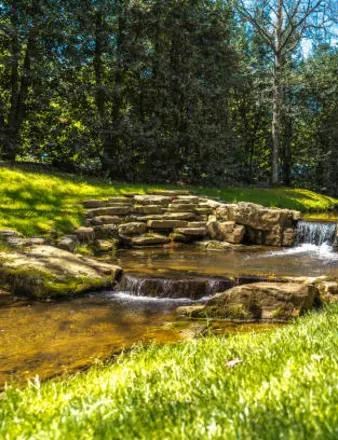 Ronald A Mote Obituary (2025) - Tampa, FL - Scrivens Johnson Mortuary ...