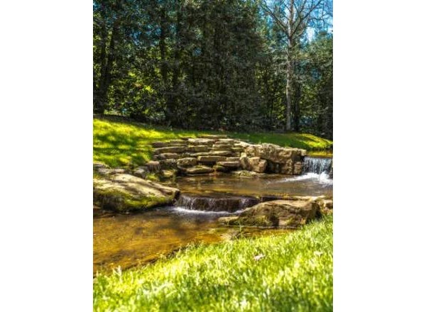 Ronald A Mote Obituary (2025) - Tampa, FL - Scrivens Johnson Mortuary ...