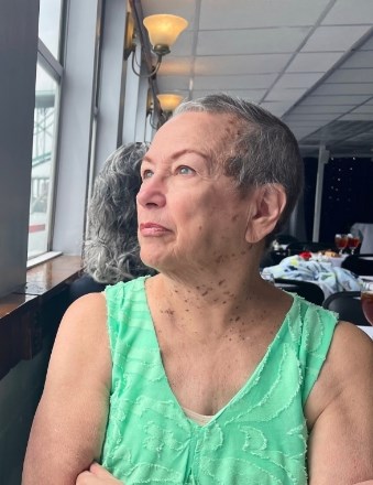 Sheila R. Clay Obituary (2026) - Wheaton, IL - Williams-Kampp Funeral Home