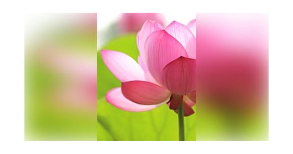 Jessica N. Money Obituary (2023) - Cincinnati, OH - Kinley Funeral Home ...