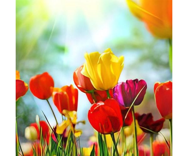 Nancy Joann Pearce Goodrich Morgan Foss Obituary (2025) - Pittsburg, KS ...