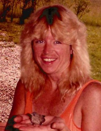 Kimberly Ann "Kim" Wertz Obituary (2026) - Dover, PA - Central ...