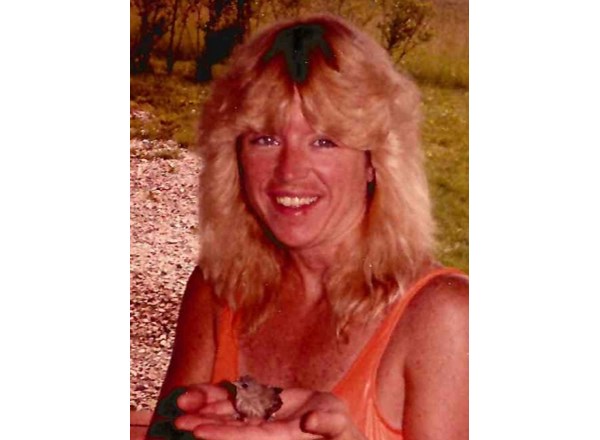 Kimberly Ann "Kim" Wertz Obituary (2026) - Dover, PA - Central ...
