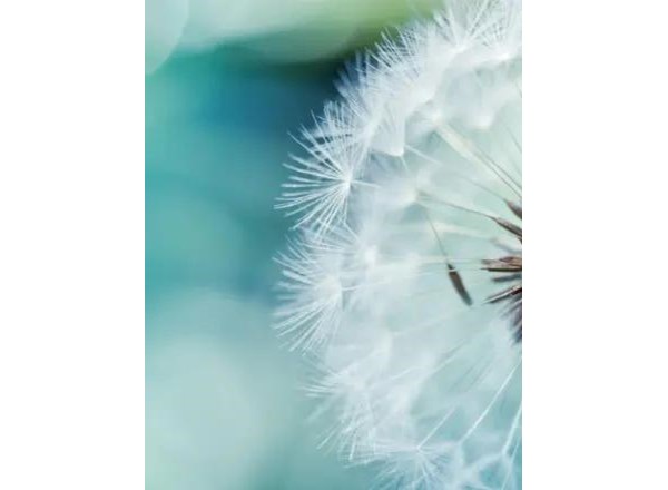 Gregory Garner Obituary (2025) - Houston, TX - A Sacred Choice - Houston