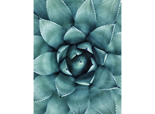 Lorraine M. O'Connor Obituary (2025) - Manchester Township, NJ ...