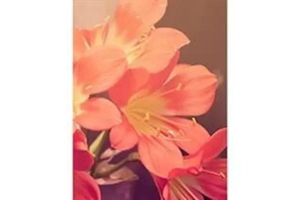 Svetlana Potchtar Obituary (2024) - Cresco, PA - Bolock Funeral Home ...