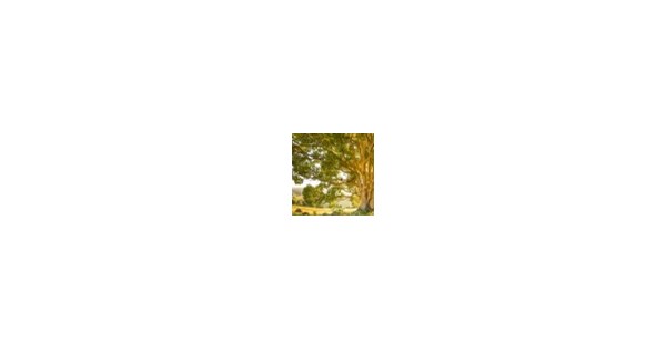 Melvin Eugene Caskey Obituary (2026) - Jacksonville, TX - Boren-Conner ...