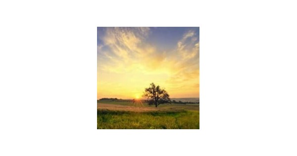 Steven L. Gibson Obituary (2024) - Dalton, GA - Dalton Funeral Home
