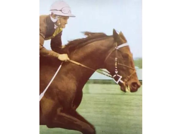 Bill Wilson Obituary (2024) - McMechen, WV - Altmeyer Funeral Homes ...