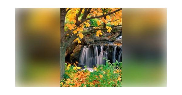 Patty Ann Kelly Obituary (2023) - El Paso, TX - Perches Funeral Homes ...
