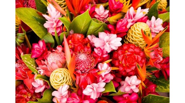 Death Notice and Obituary for Betty Jean Griffin Lowman of Valdese , NC