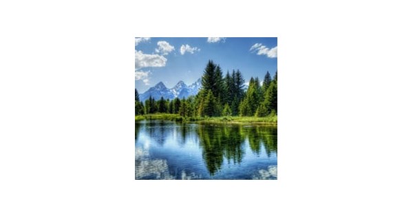 Michael Strausser Obituary (2022) - Cresco, PA - Bolock Funeral Home ...