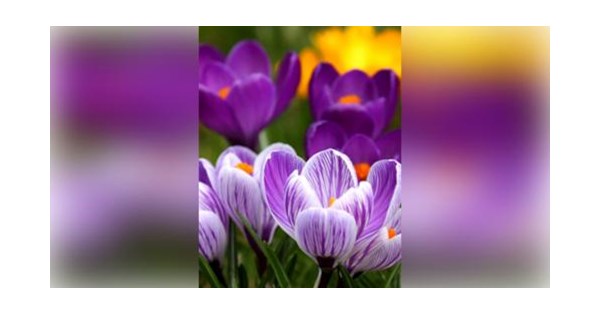 Deborah Orth Obituary (2023) - New Albany, IN - Spring Valley Funeral ...