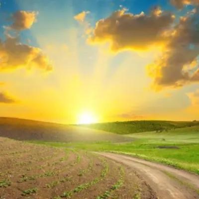 Ida Bernice Hogan Obituary (2025) - Raleigh, NC - Cremation Society of ...