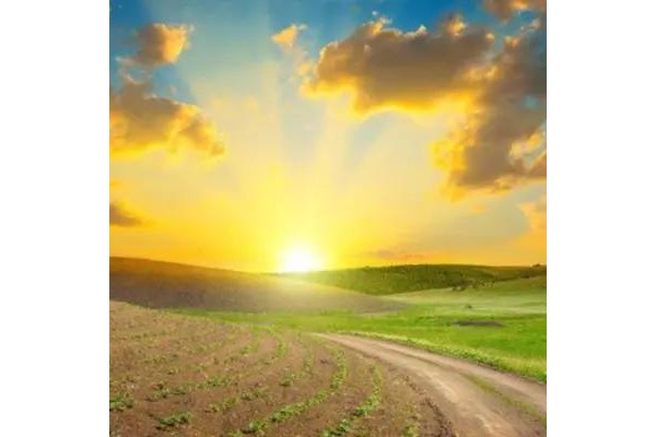 Ida Bernice Hogan Obituary (2025) - Raleigh, NC - Cremation Society of ...