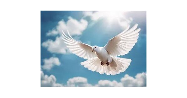 Inez Emma Mewborn Obituary (2025) - Virginia Beach, VA - Altmeyer ...