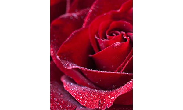 Catherine Anne Mooney Obituary (2026) - Oroville, CA - Oroville Funeral ...