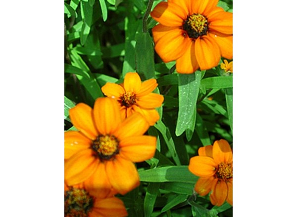 Janet Jordan Obituary (2026) - Groveport, OH - Dwayne R. Spence Funeral ...