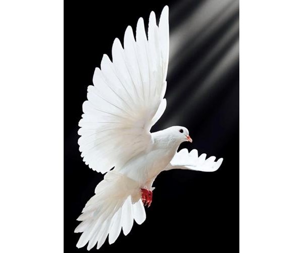 William Myles Hines Obituary (2023) - Louisville, KY - Rodgers-Awkard ...