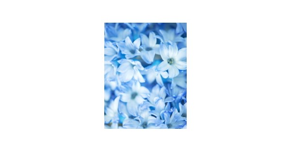 Joann Marie Mattison Obituary (2022) - Champaign, IL - Walker Funeral ...