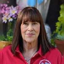 Cecilia Sandoval-Bates Obituary (2024) - Del Rio, TX - Amistad Funeral Home