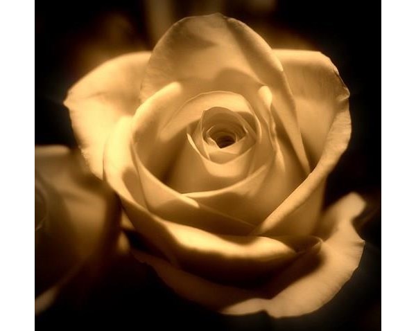 Vandy Perdue Obituary and Online Memorial (2025)