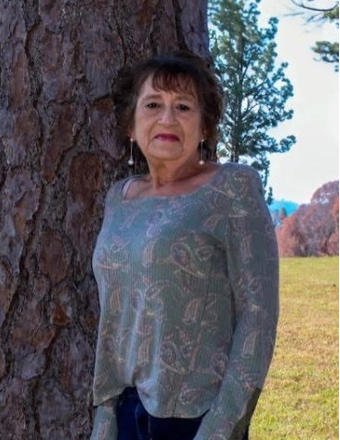 Mary Ann Potter Obituary (1958 - 2026) - St. Louis, MO - Jonesboro ...