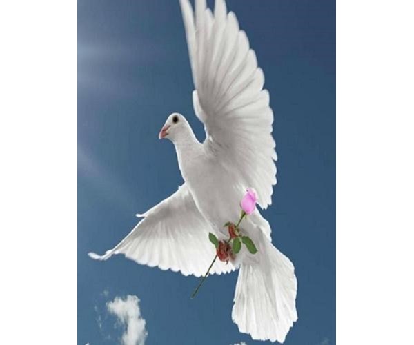 Karen Tullis Obituary and Online Memorial (2026)