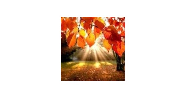 Glenn "Del Camdenton" Shoemaker Obituary (2025) - Lebanon, MO - Holman ...