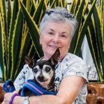 Marion Mingle Obituary and Online Memorial (2026)