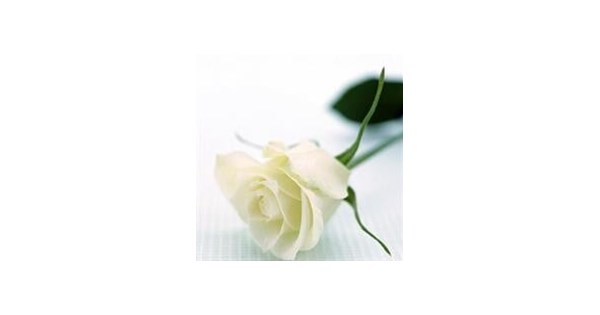 Mary Claire Heiden Obituary (2025) - Fargo, ND - Hanson-Runsvold ...