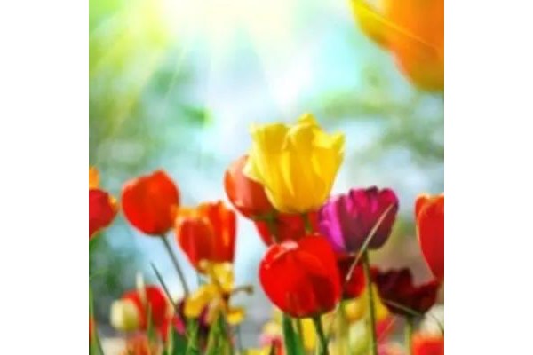 Marleen Kay Wallis Obituary (2025) - Boise, ID - Relyea Funeral Chapel