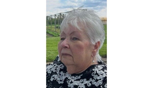 Judith E. Schomer Obituary (2025) - Berwyn, IL - Adolf and Powell ...