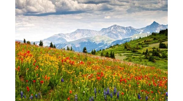 Christina Stamper Obituary (2026) - Lafayette, CO - The Natural Funeral ...