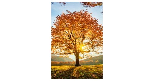 Michael Pernell Pinson Obituary (2025) - Sumner, WA - Sumner Voiles ...