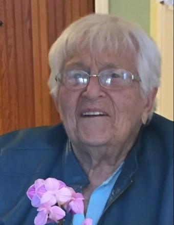 Diane Goodson Obituary (2025) - Benzonia, MI - Jowett Family Funeral ...