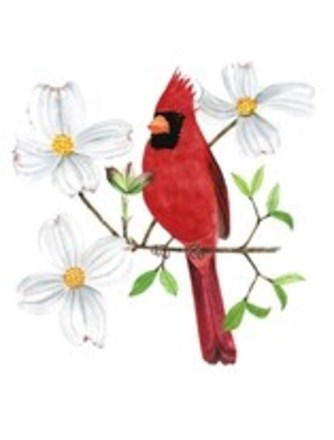 Jeffrey Jenkins Obituary (2026) - Jacksonville, NC
